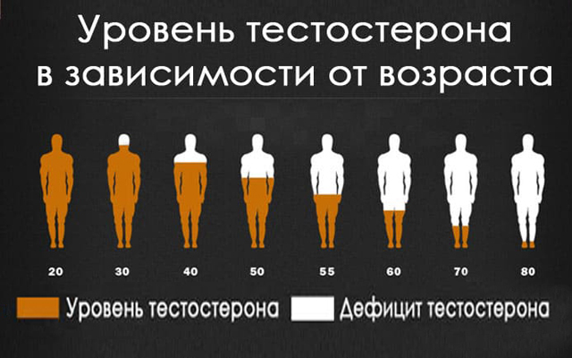 Тестостерон у мужчин, женщин и детей. Как поднять уровень тестостерона ...